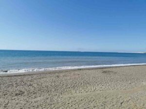 Escale à Savone. Que voir, comment sortir du port et TOP visites
